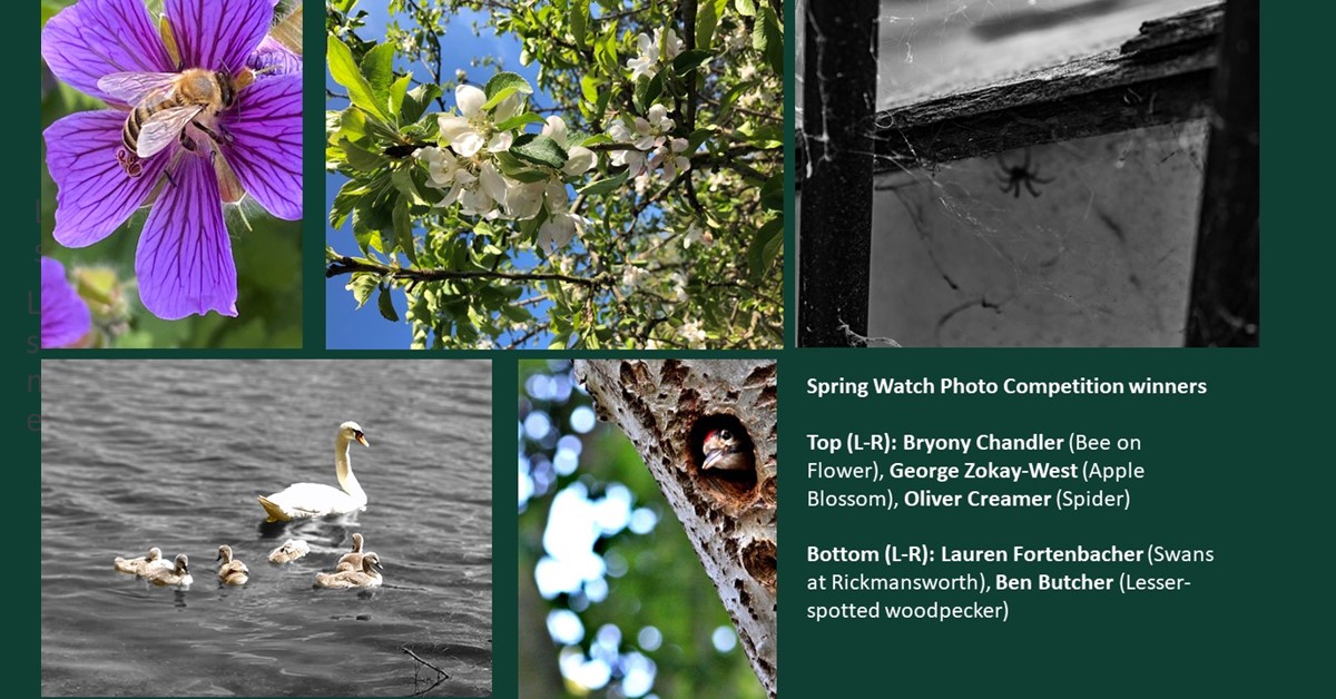 Travers Smith announces winners of inaugural Spring Watch Photography ...